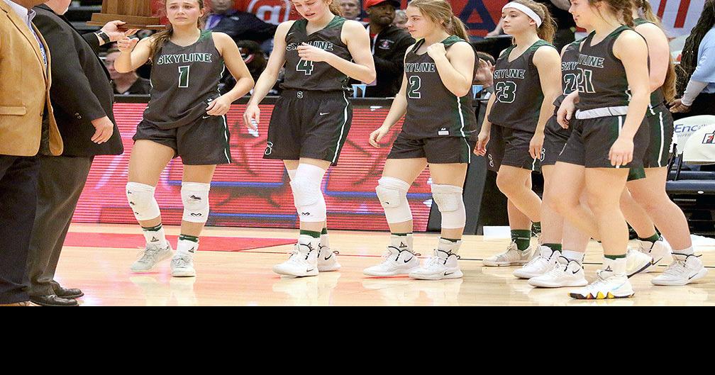 Skyline falls in 1A state finals | Sports | jcsentinel.com