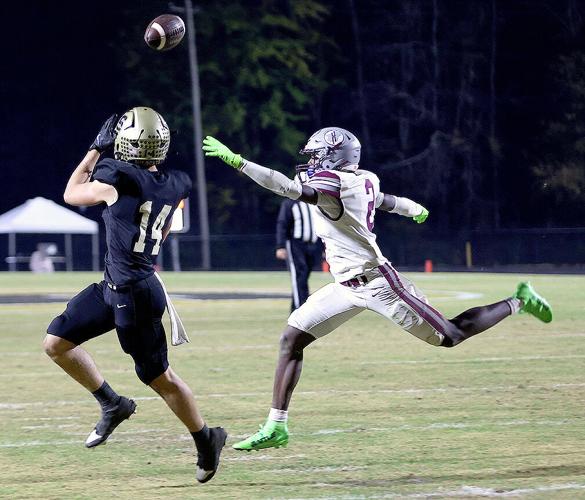 Wildcats dominate No. 7 St. Clair County to reach 5A state ...