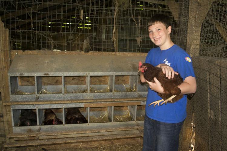 Chick Chain Project helps students learn about poultry industry ...