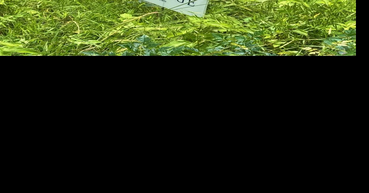 Circuit Judge John Graham calls sign vandalization act ‘utter nonsense ...