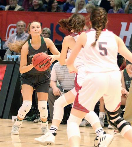 Skyline falls in 1A state finals | Sports | jcsentinel.com