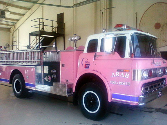 City turning pink | News | jcsentinel.com