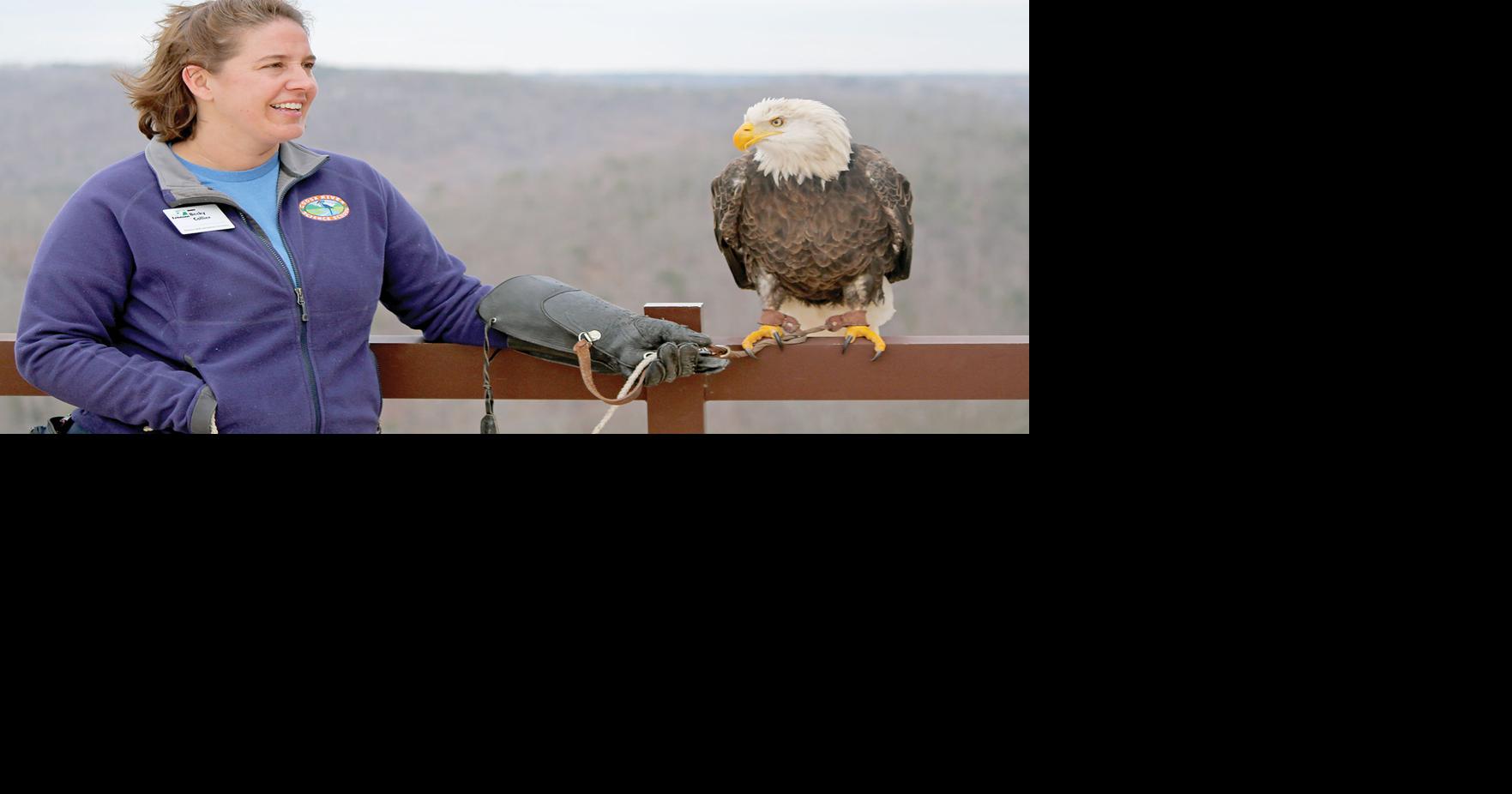 30th anniversary of Eagle Awareness program attracting lots of interest ...