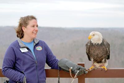 30th anniversary of Eagle Awareness program attracting lots of interest ...