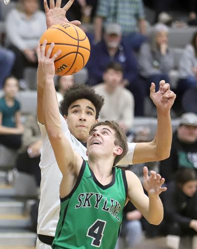 BOYS BASKETBALL ROUNDUP: NSM, Skyline defeat rivals for area wins ...