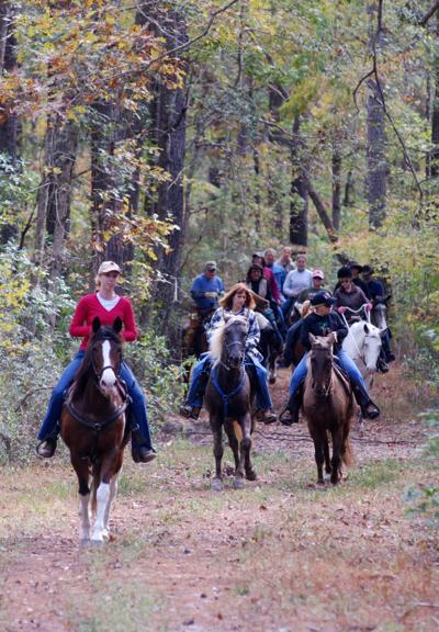 Equestrian trails open in Croatan National Forest | News | jdnews.com