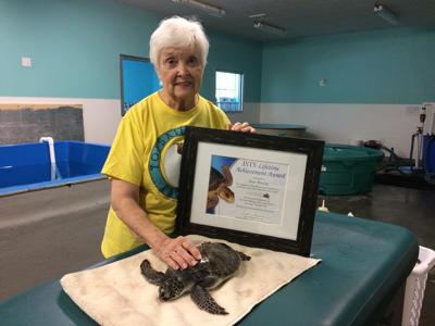 A friend to turtles | News | jdnews.com