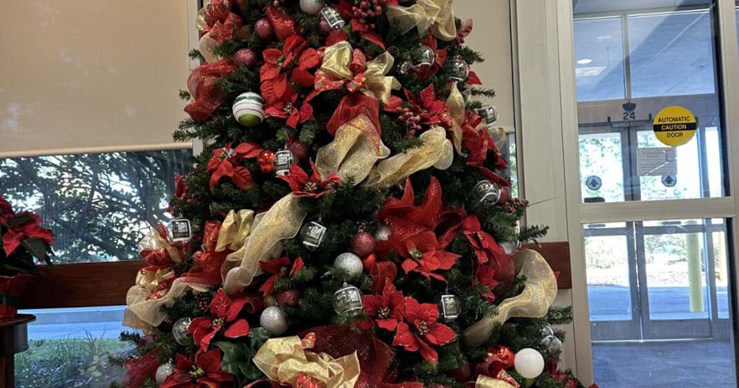 OMH supports Hope is Alive with Holiday Hope Tree | News | jdnews.com