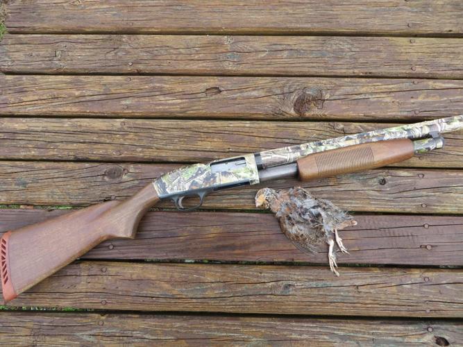 The Model 500 is a classic worth celebrating | Sports | jdnews.com