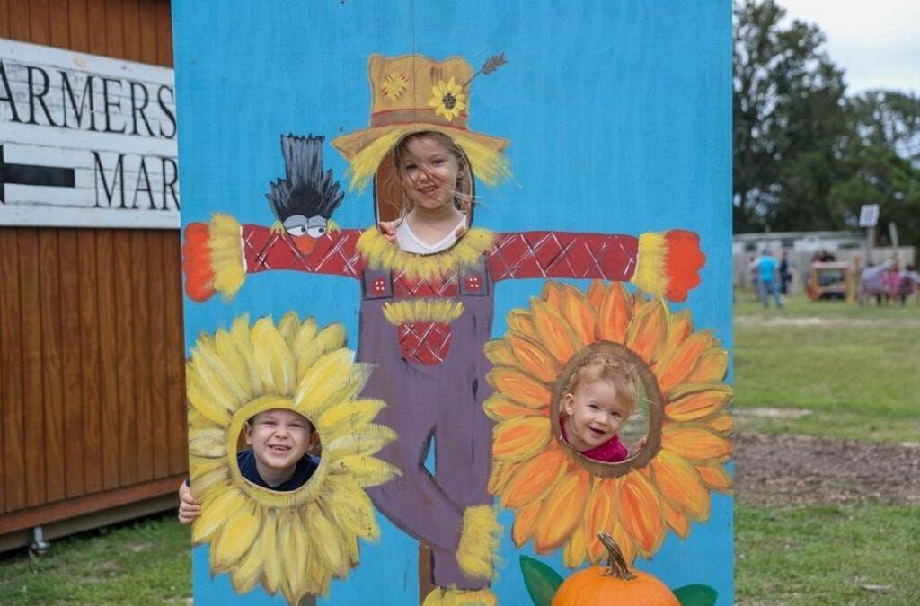 Photos: Fall comes to Humphrey Farm | News | jdnews.com