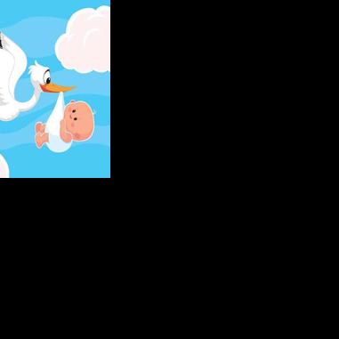 Stork report | Features | jdnews.com