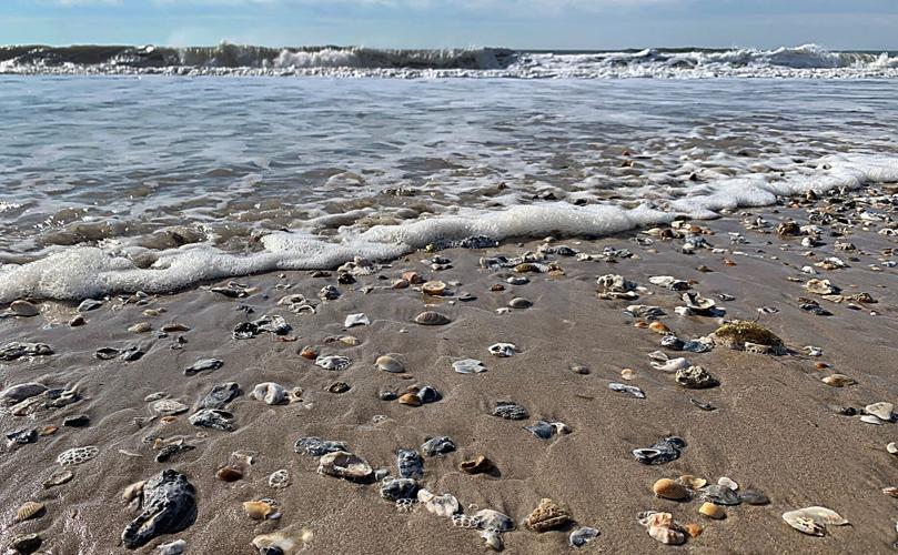 Nine years after Onslow teen drowns, officials urge residents to watch ...