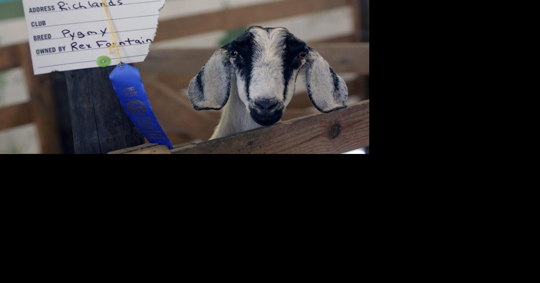 Onslow County Fair starts Monday | Entertainment | jdnews.com