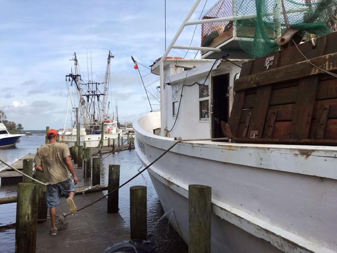 Photos: Shrimp families assess Hurricane Florence damage | News ...