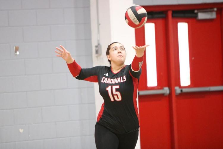 Meet the 2024 Jacksonville area All-Area Volleyball Team | Sports | jdnews.com