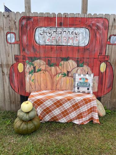 'Hanging on to that hope': After a tough year, Humphrey Farm to take a ...