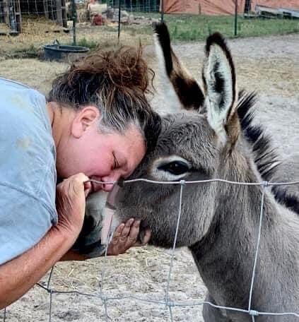 'Hanging on to that hope': After a tough year, Humphrey Farm to take a ...
