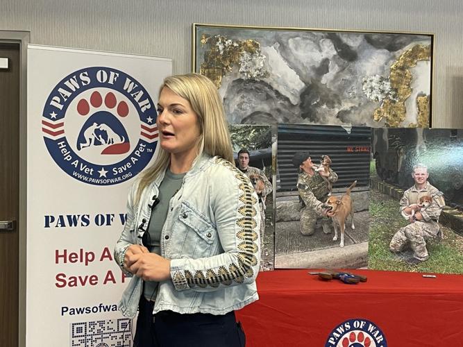 Camp Lejeune Marines reunited with dog and puppies they rescued in ...