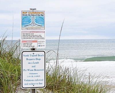 Rip currents among ocean hazards | News | jdnews.com