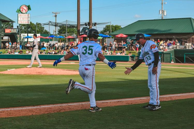 Opening Day: Wood Ducks soar into 5th season at Historic Grainger ...