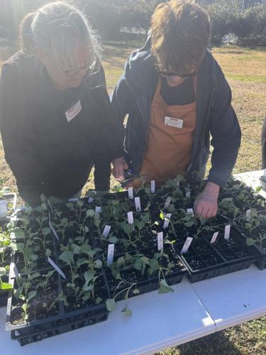 Onslow County groups partner for Bucket Brigade to assist Salvation ...