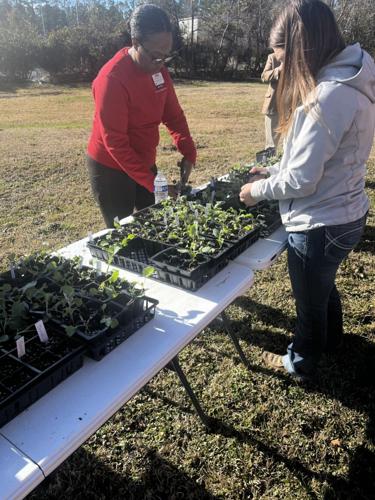 Onslow County groups partner for Bucket Brigade to assist Salvation ...