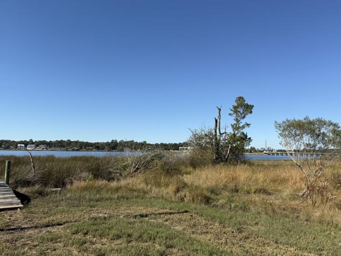 Mental health nonprofit Ricky's Retreat to open in Swansboro | Features ...