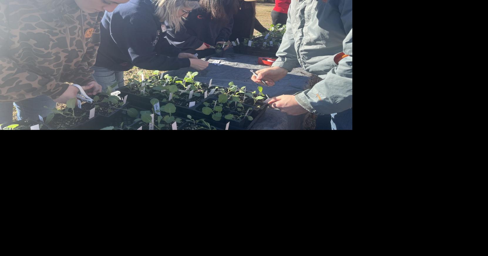 Onslow County groups partner for Bucket Brigade to assist Salvation ...