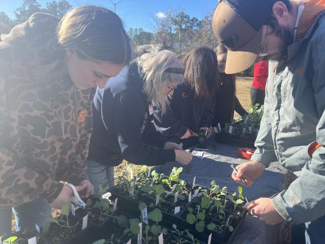 Onslow County groups partner for Bucket Brigade to assist Salvation ...