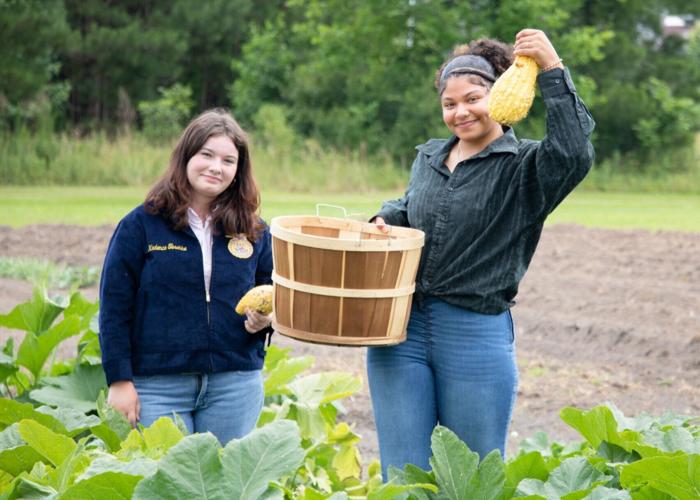 White Oak High students plant donation garden, donating thousands of ...