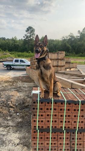 Onslow County Sheriff's Office partners with nonprofit to raise money ...