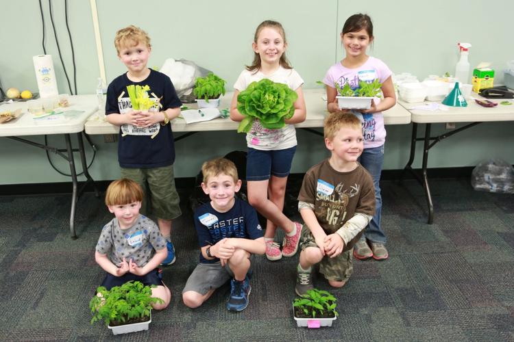 4H Spring Break Program | News | jdnews.com