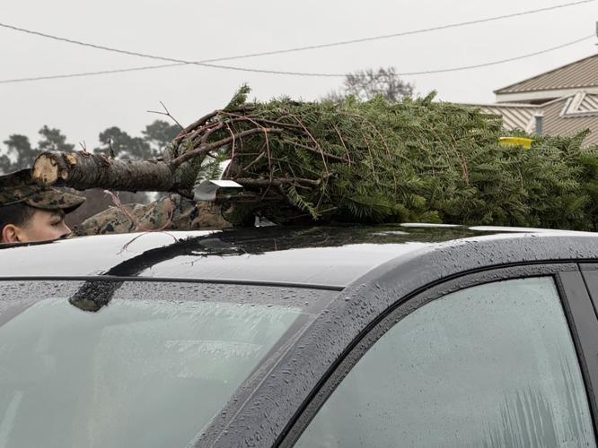 1,100 Christmas trees given to service members | Local News | jdnews.com