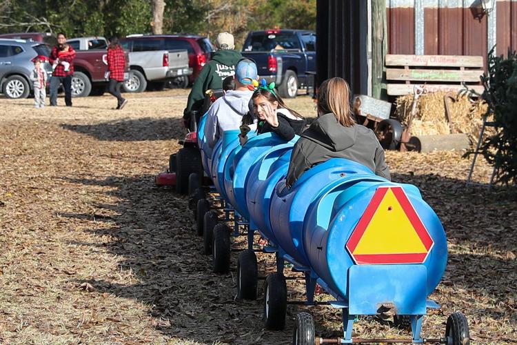 Photos: Justice Farms opens for the season | News | jdnews.com