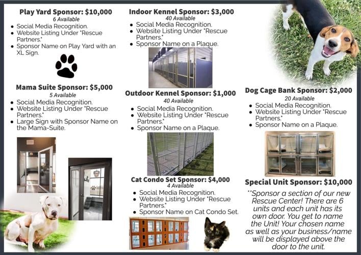 Jacksonville's Adoption First Animal Rescue expanding, and they need ...