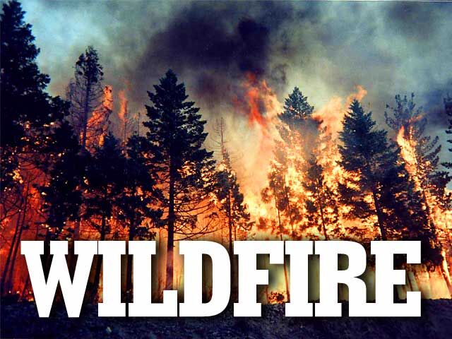 Wildfire remains under investigation | News | jdnews.com