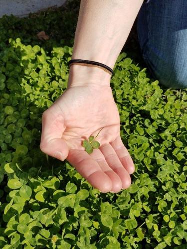 PHOTOS: Family remains in hotel four months after Florence | News ...