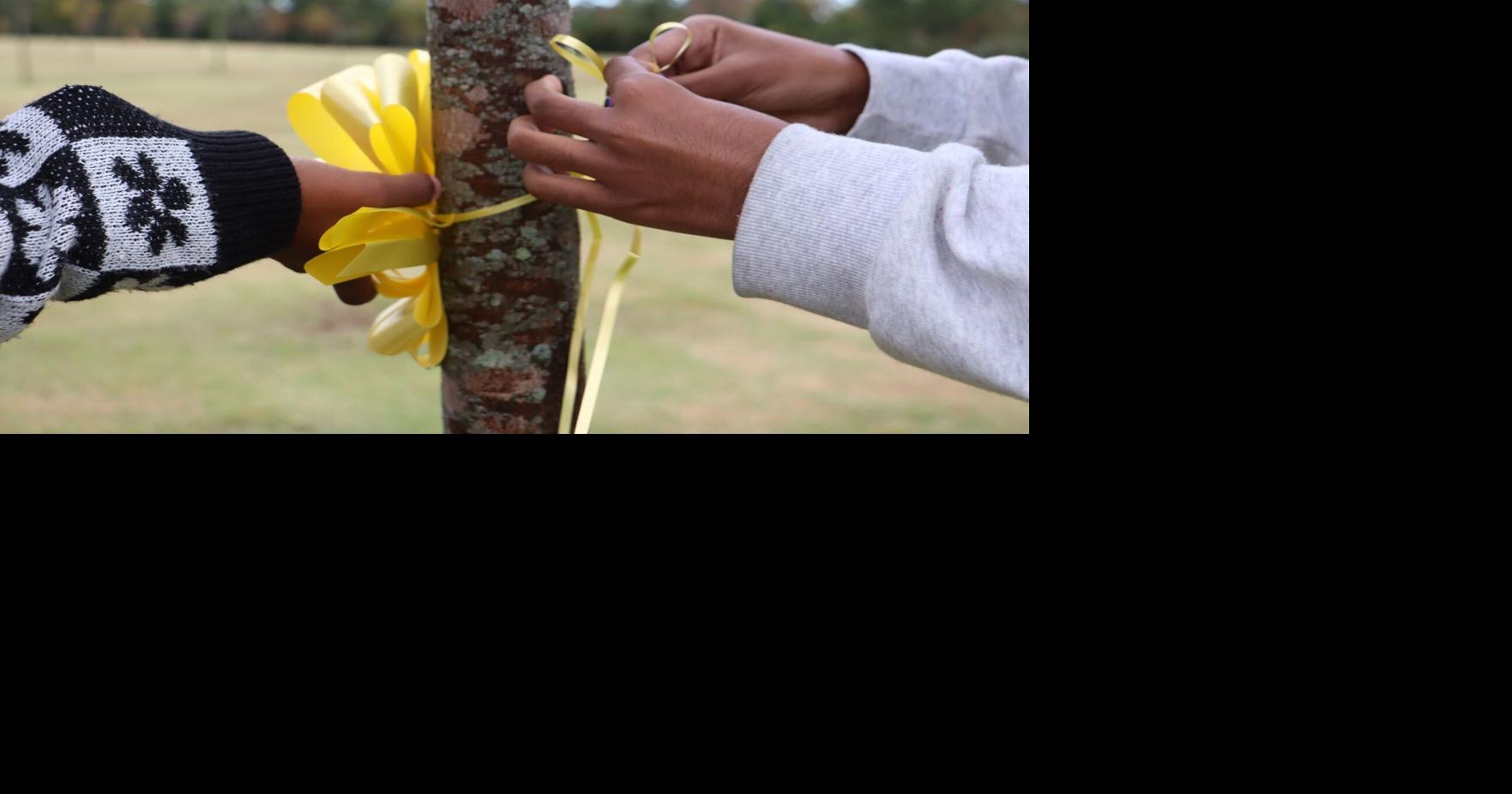 Beirut Bombing anniversary yellow ribbon campaign kicks off in ...