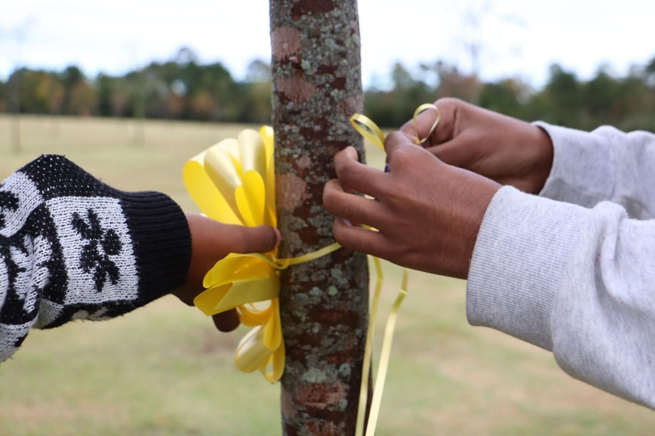 Beirut Bombing anniversary yellow ribbon campaign kicks off in ...
