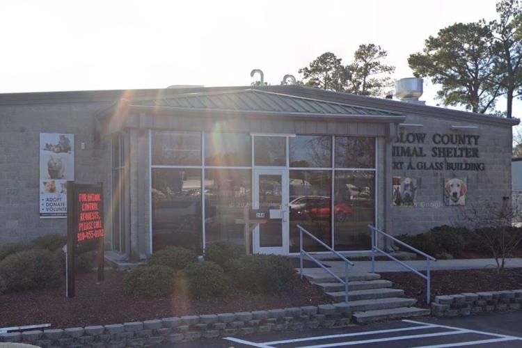 Onslow County Animal Services to participate in Empty the Shelters ...