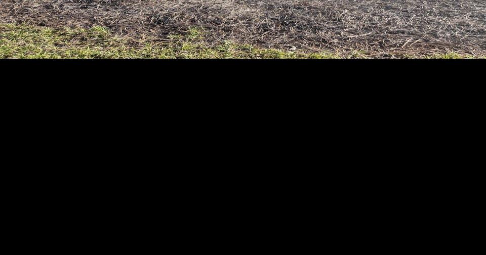 Case closed: Students involved in Northside High School stabbing learn ...