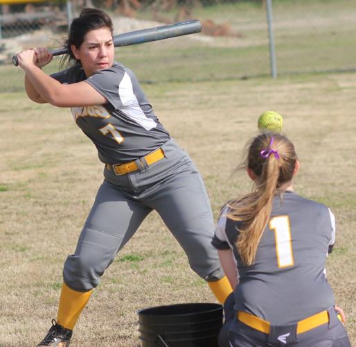PHOTOS: White Oak Softball coach Brianne Sparks | Sports | jdnews.com