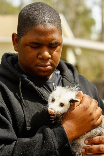 Possumwood Acres celebrates decade of service | News | jdnews.com