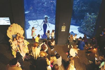 Weeki Wachee Mermaids come to life at N.C. Aquarium at Fort Fisher ...