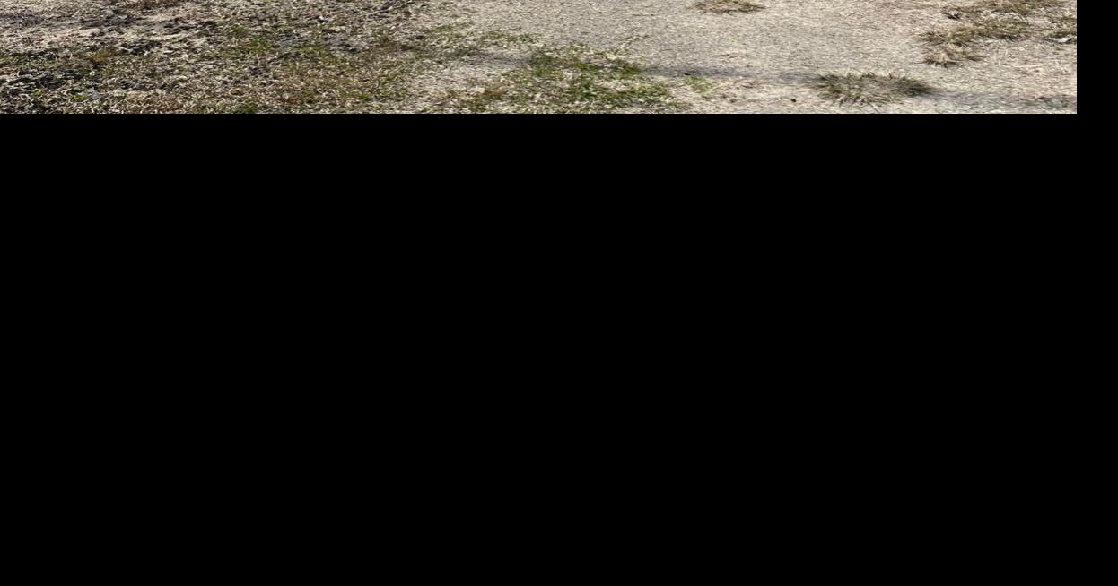 Cause of Friday house fire at Riggs Pork Market confirmed | News ...