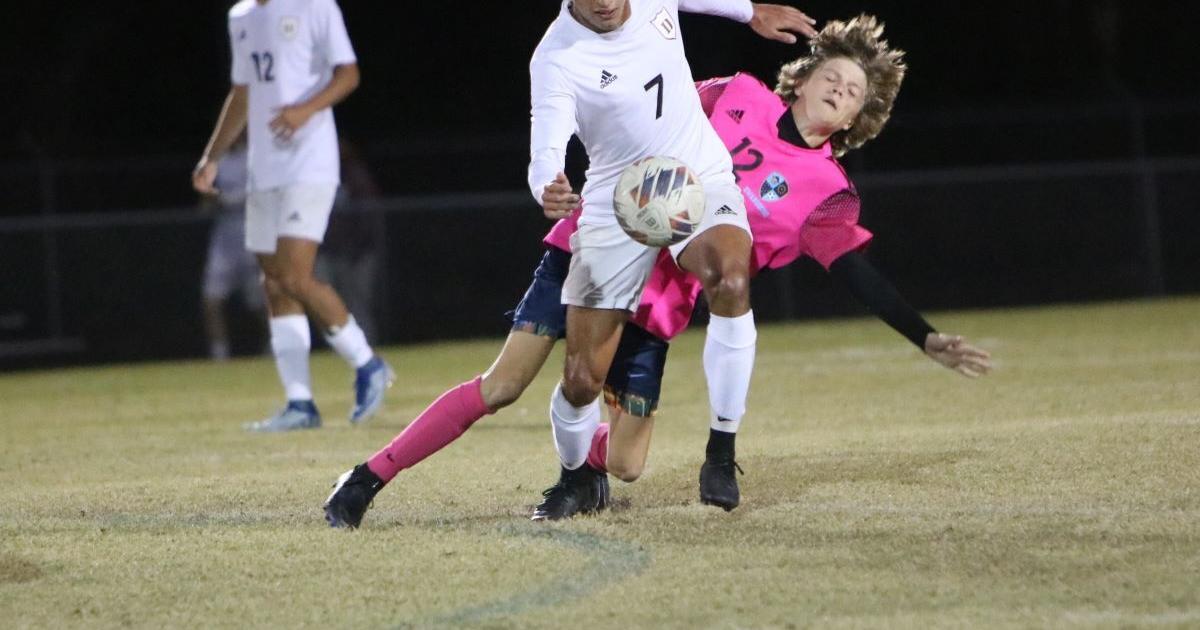 Dixon soccer has 'momentum' at the right time | Sports | jdnews.com
