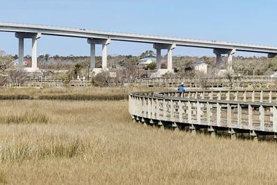 Things to know about Surf City | News | jdnews.com