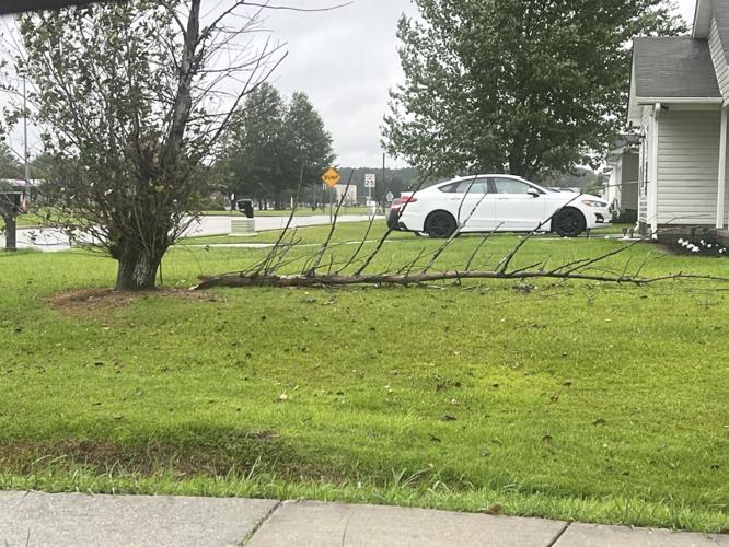 From high winds to flooding, here's how Tropical Storm Idalia impacted ...