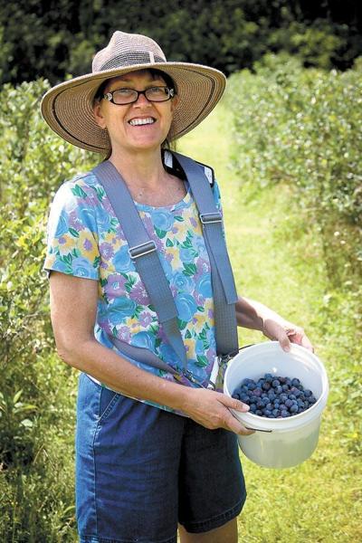 Pick up a pint of blueberries lately? Bet you have. | Business | jdnews.com