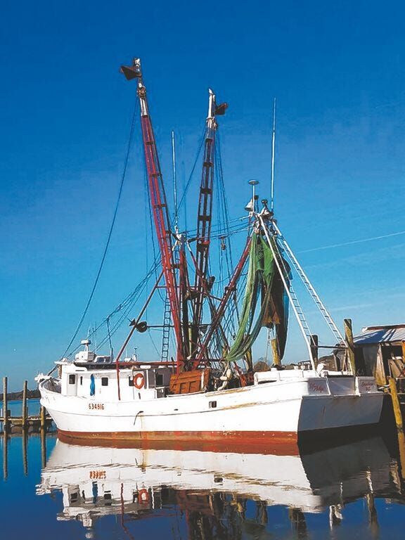 Public comment to be taken on petition impacting shrimp trawling | News ...